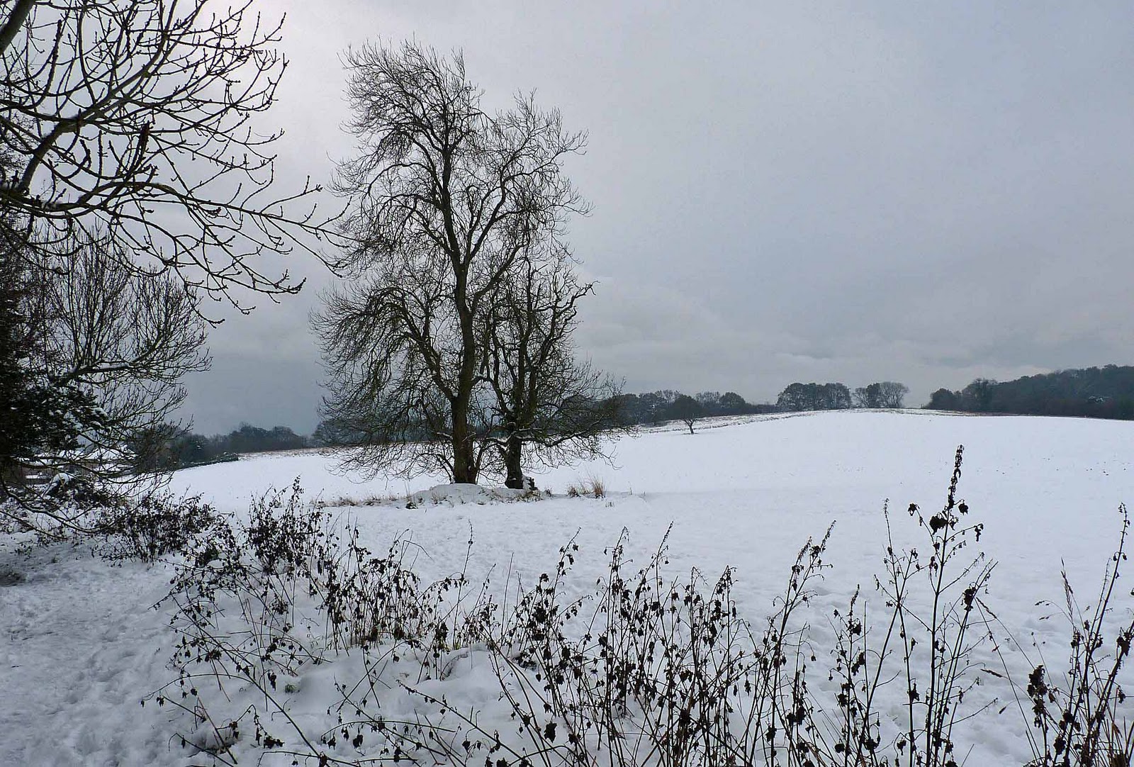 Dorset Allsorts: Snowy Dorset