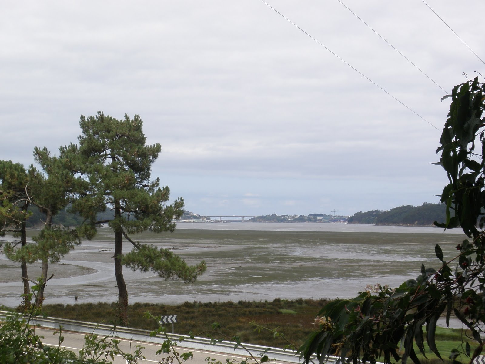 Ría de Ribadeo: 2010