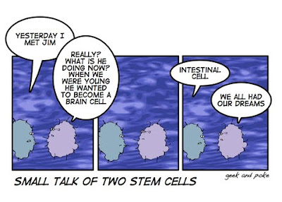 Enhancement of Stem Cell Research - "The Future of Healthcare": Cell Humor
