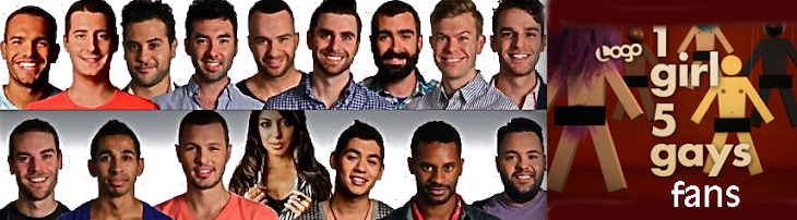1 Girl 5 Gays Fans