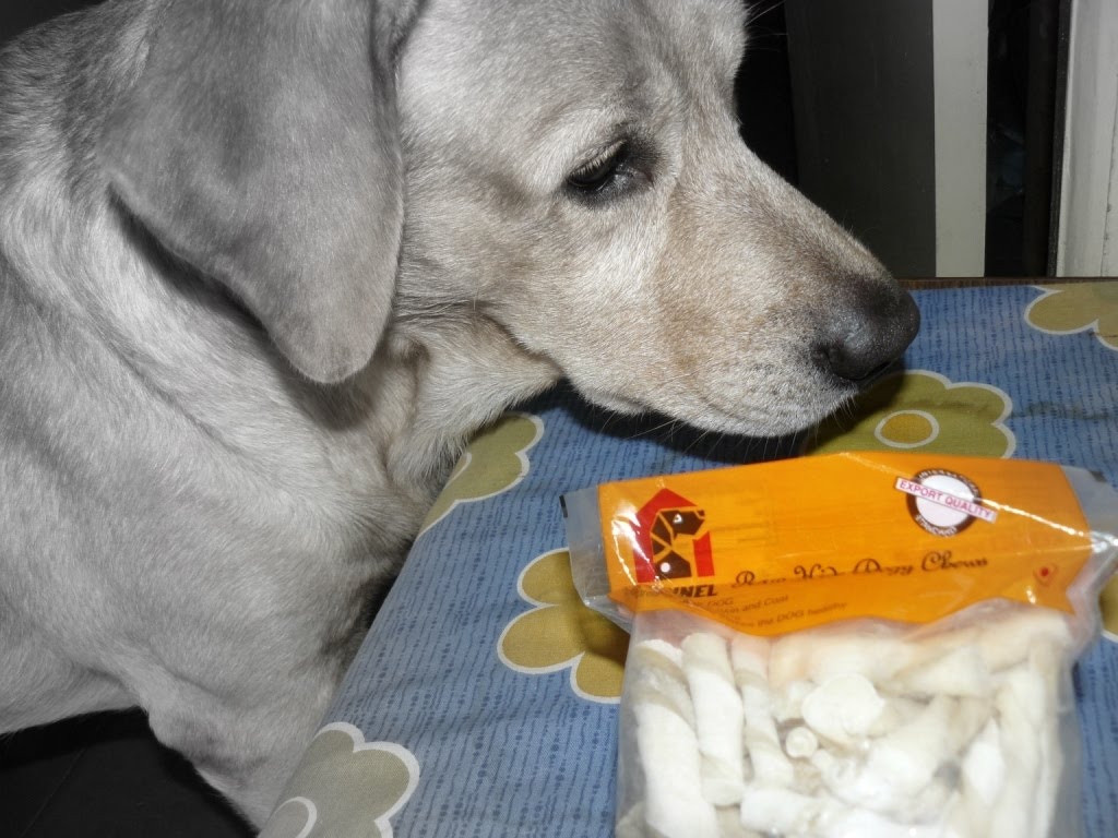 Pawprints in the Sands of Time: TRUE COLOUR THURSDAY #10