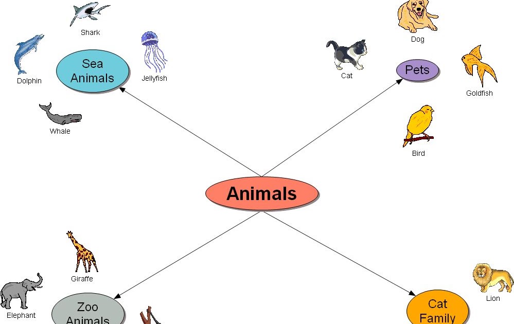 Filiz's Blog: Week One Workshop Reflection