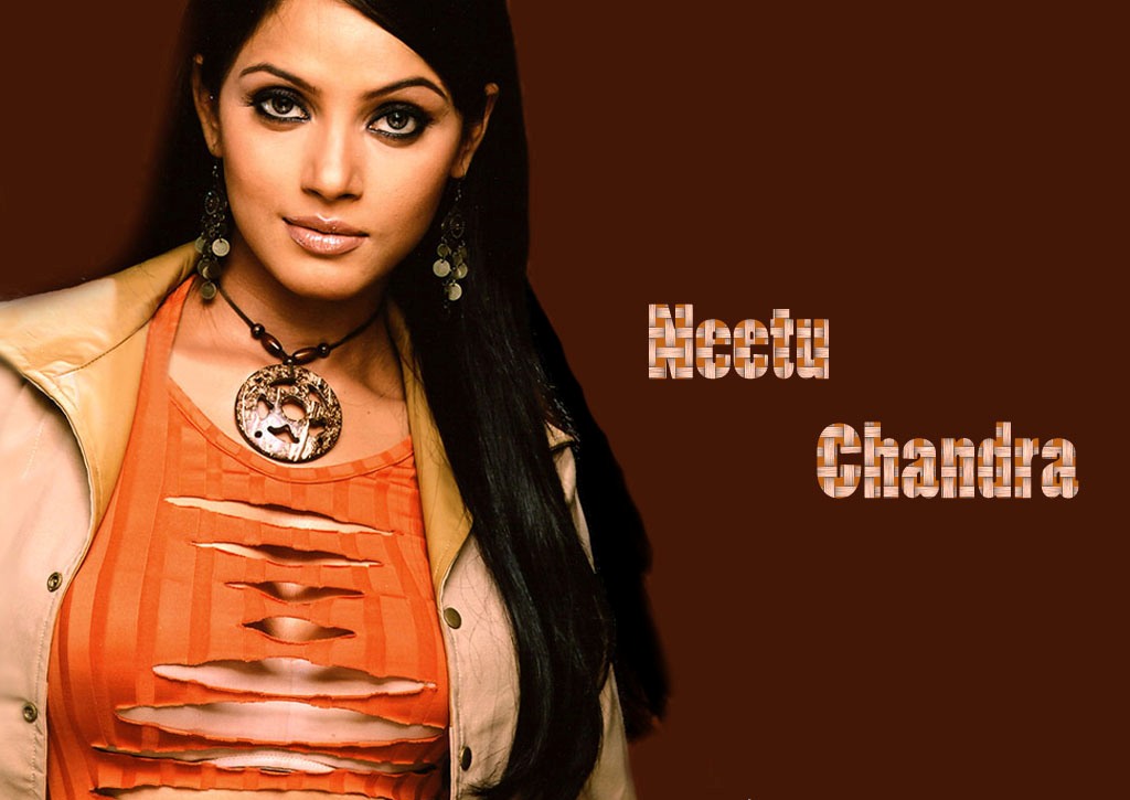 Neetu Chandra Hot Wallpapers - Saree Sexy Pictures