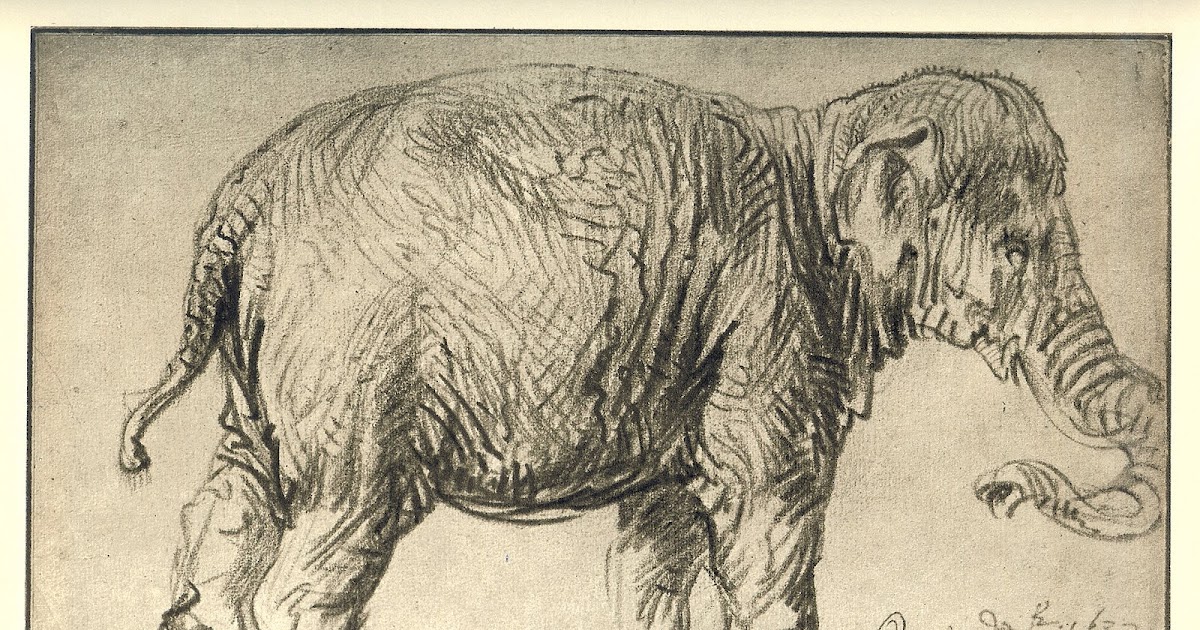 The Drawline: An Elephant, 1637, Rembrandt, black chalk