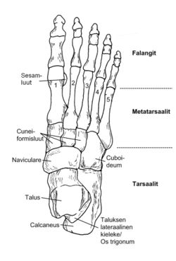 Elämä on: Lievää turhautumista havaittavissa