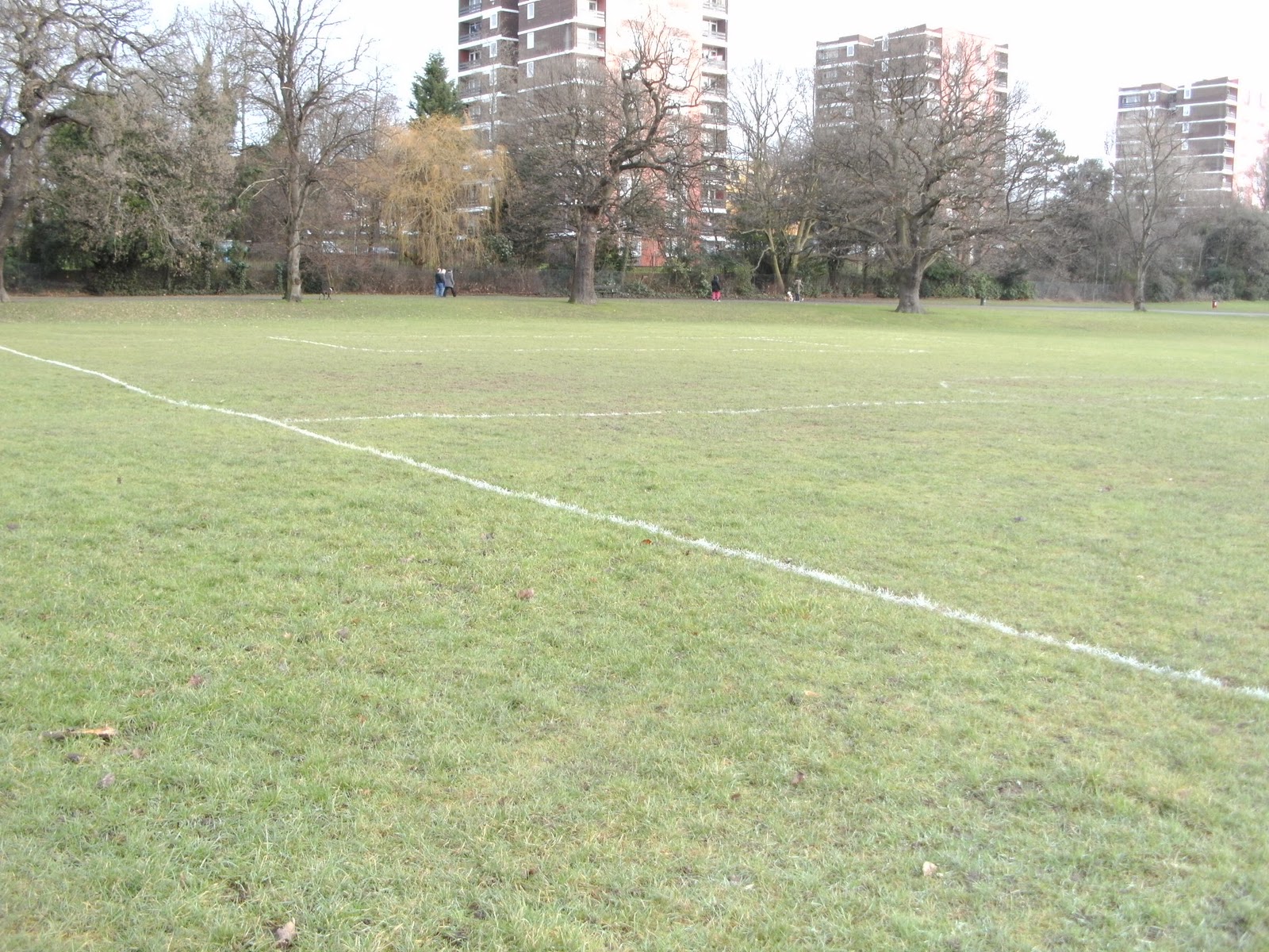 Friends of Mayow Park: February 2011