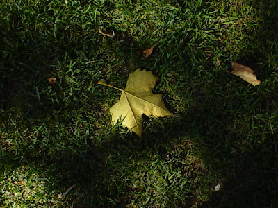 Previous REVHS Photo 1: Robby Foster- leading lines, strong center of ...