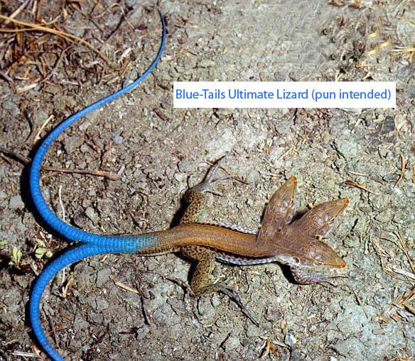 Matt's Computer Art: Three-Headed Lizard