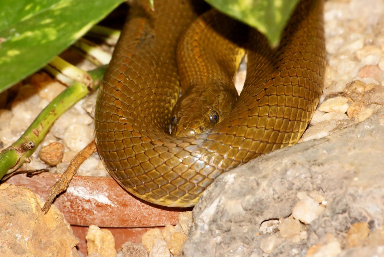 Photographer: Visted Pretoria Zoo On The 5Th April 2010