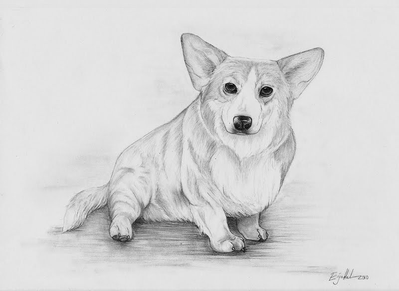 Blog Archives - internetness