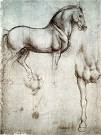 Where the light shines through...: The Gran Cavallo by Leonardo da Vinci