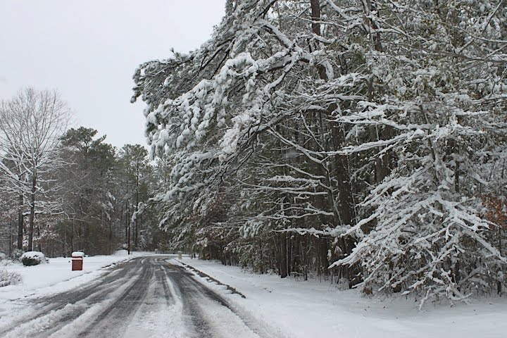 Matt and Julee Turner: South Arkansas Snow.