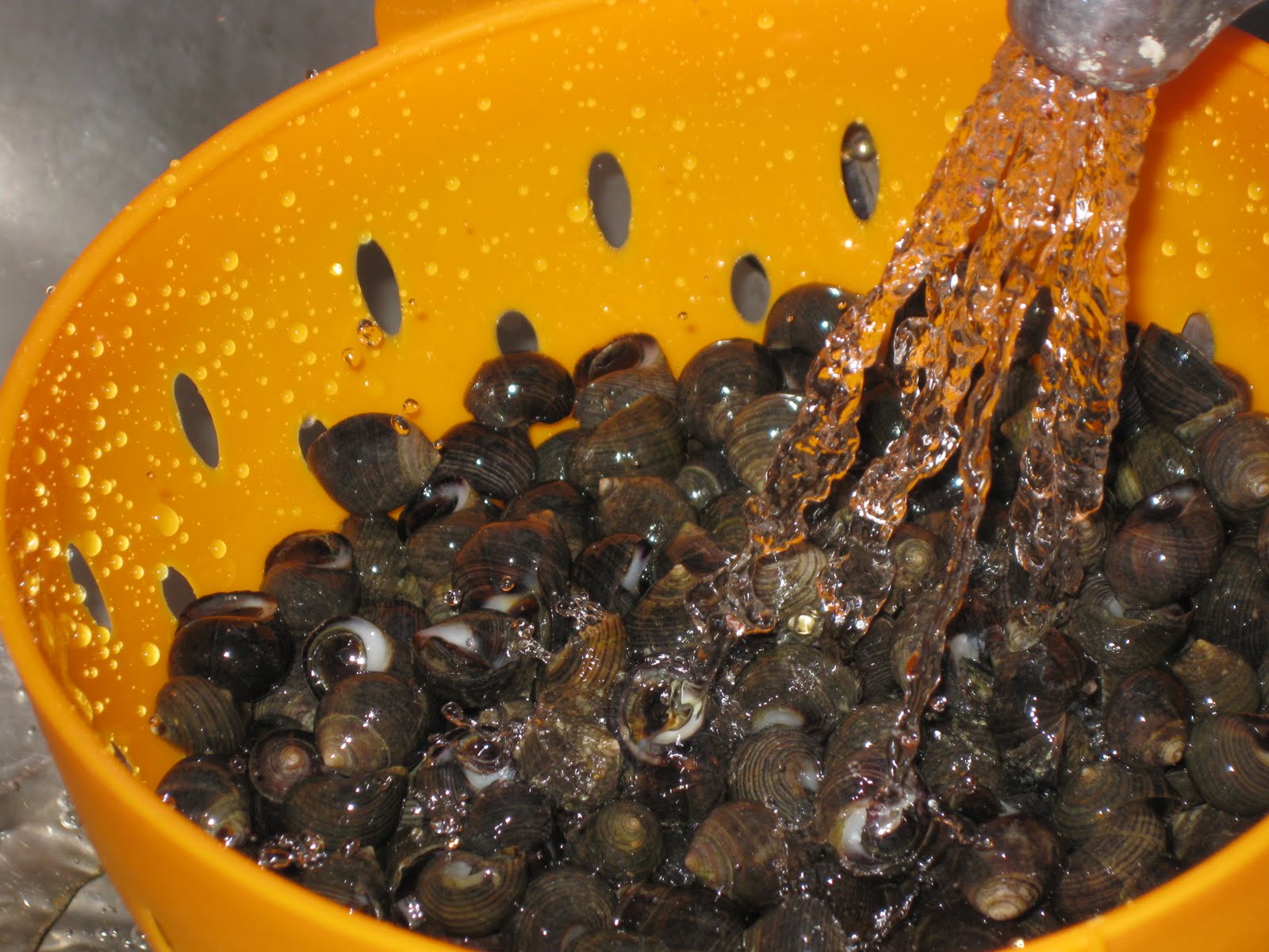 readysteadyausteritycook: Winkles