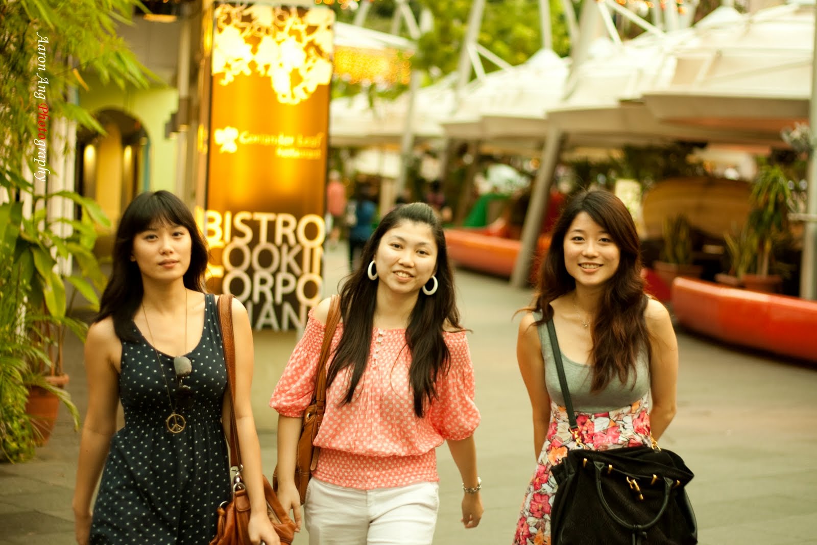 Aaron Ang Photography: Life in Singapore