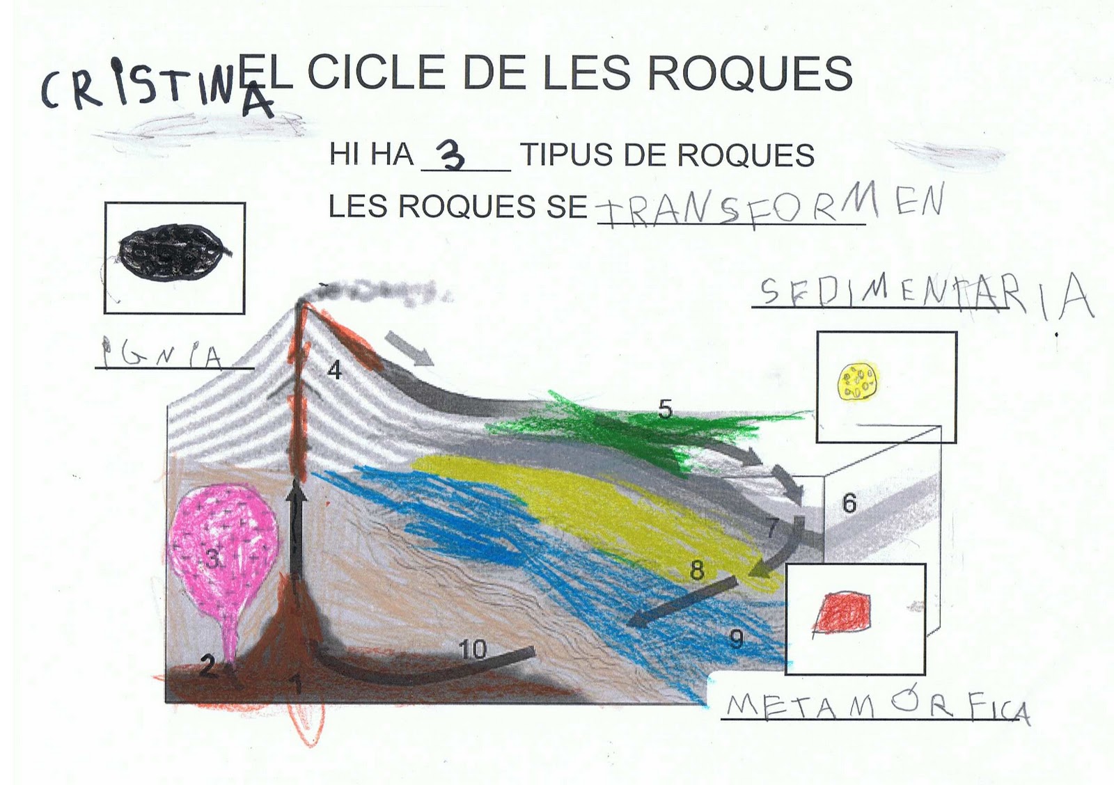 FEM PROJECTES: TIPUS DE ROQUES