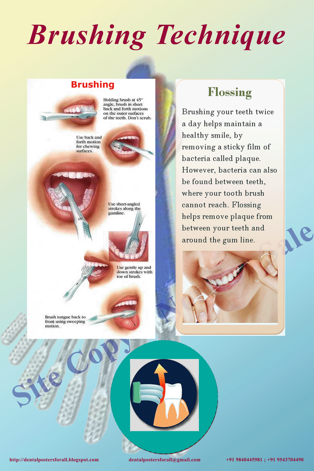 Dental Posters to Educate Patients: Brushing Technique