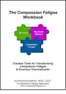 Compassion Fatigue Train the Trainer: The Compassion Fatigue Workbook ...