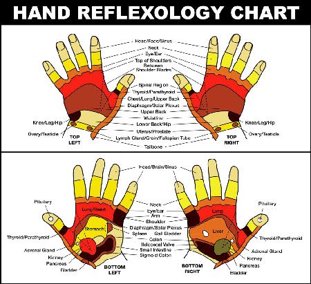 elearning-free online video: Traditional Chinese Medicine - Hand ...
