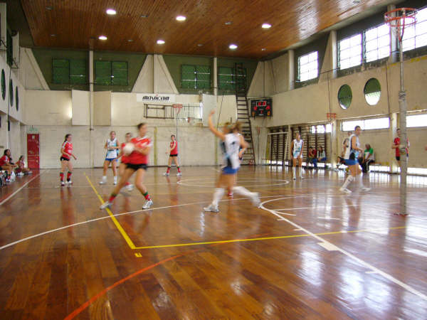 Cestoball de Primera