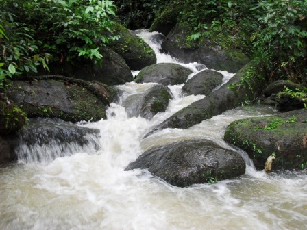 Dare to Dream...Cikgu Charles B..My Life,My Journey..To Succes.: Legend ...