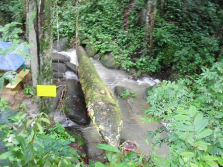 Dare to Dream...Cikgu Charles B..My Life,My Journey..To Succes.: Legend ...