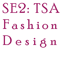SE2: TSA Fashion Design: Procedure for Making Dress