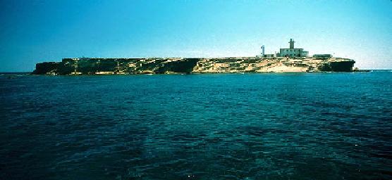 Almeria Turistica.: Mar de Alboran,Isla de Alboran.