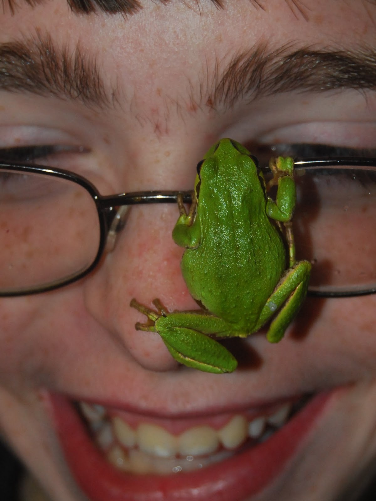Homegrown and Heartgrown: Garumph went the little green frog one day.......