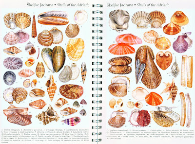 Azure Croatia: July 2009