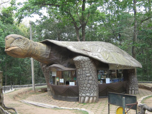 Lens Sketches: Turtle Inn