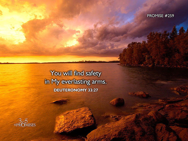 Pilgrim Scribblings: January 2011