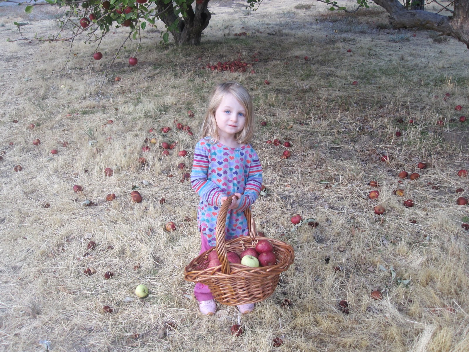 2littlethomases: Fun in Palomar Mountain with the Phelps Gang