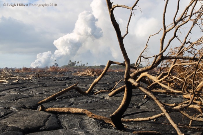 HAWAIIAN LAVA DAILY: ~ New lava benches are very dangerous ~ Coastal ...