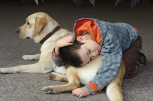 WOLFSHADOW: Terapia con perros: un paso más en la comunicación de los ...