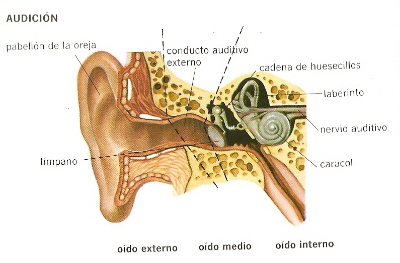 The educative corner