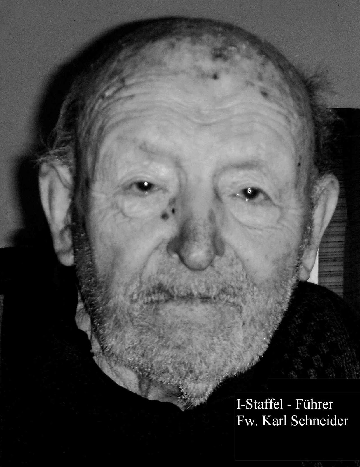 PANZERREGIMENT 35 - Das Regiment mit dem Bären: Karl Schneider Zeitzeuge