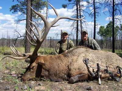 Wounded Moose: The Task of Butchering an Elk