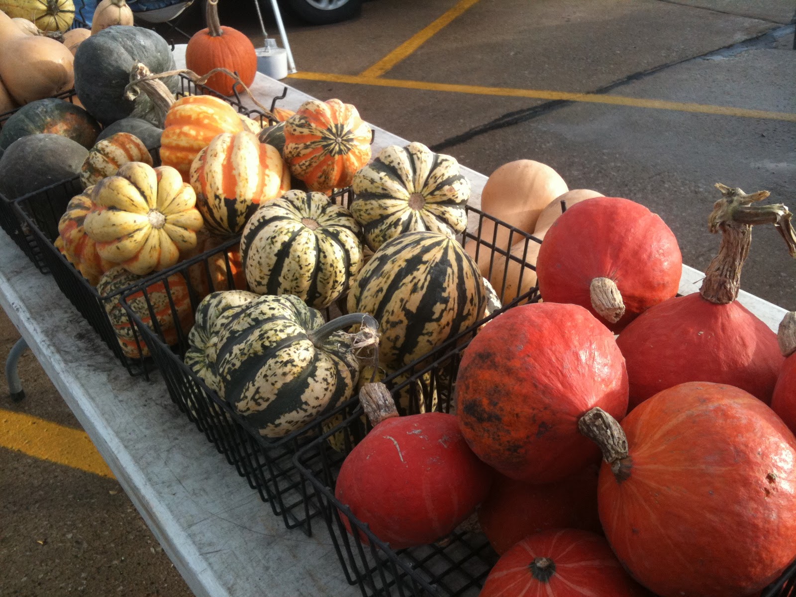 Jeffrey and Juli cook: Adventures in Iowa: Community Apple Orchard ...