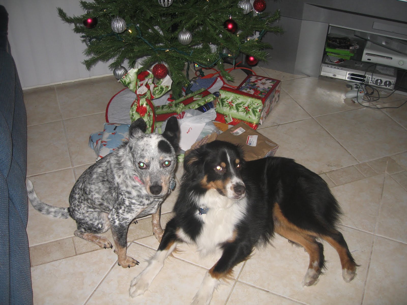 Stumpy Wanders: December 2010