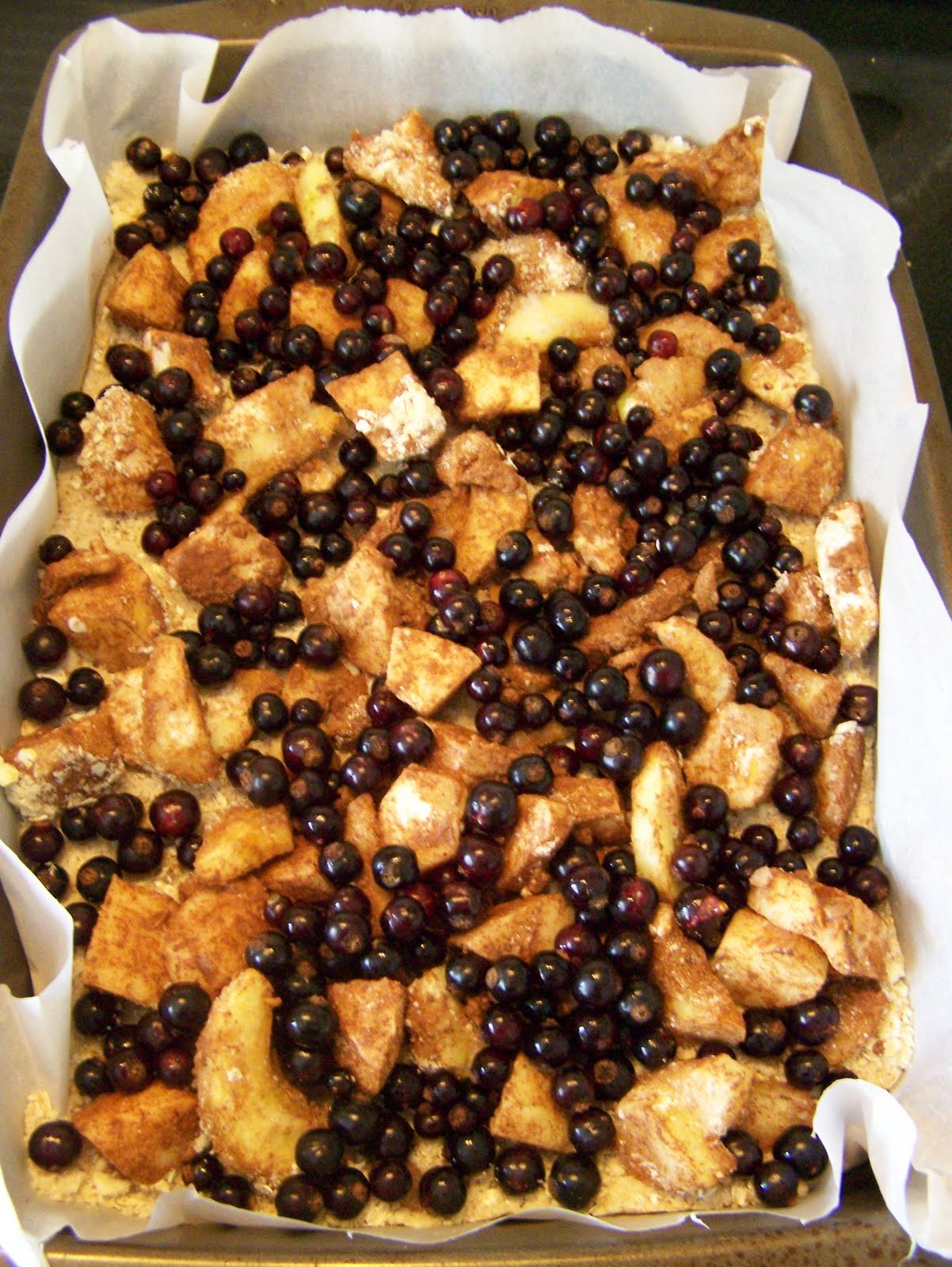 Terracotta Café: Apple Black Currant Squares