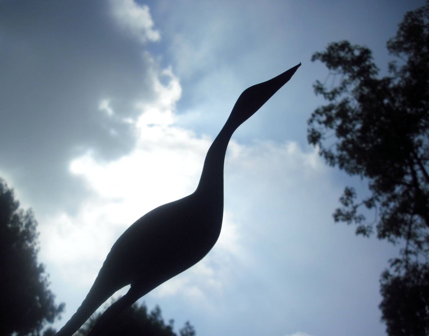 Todo depende de como lo mires: CONTRALUZ