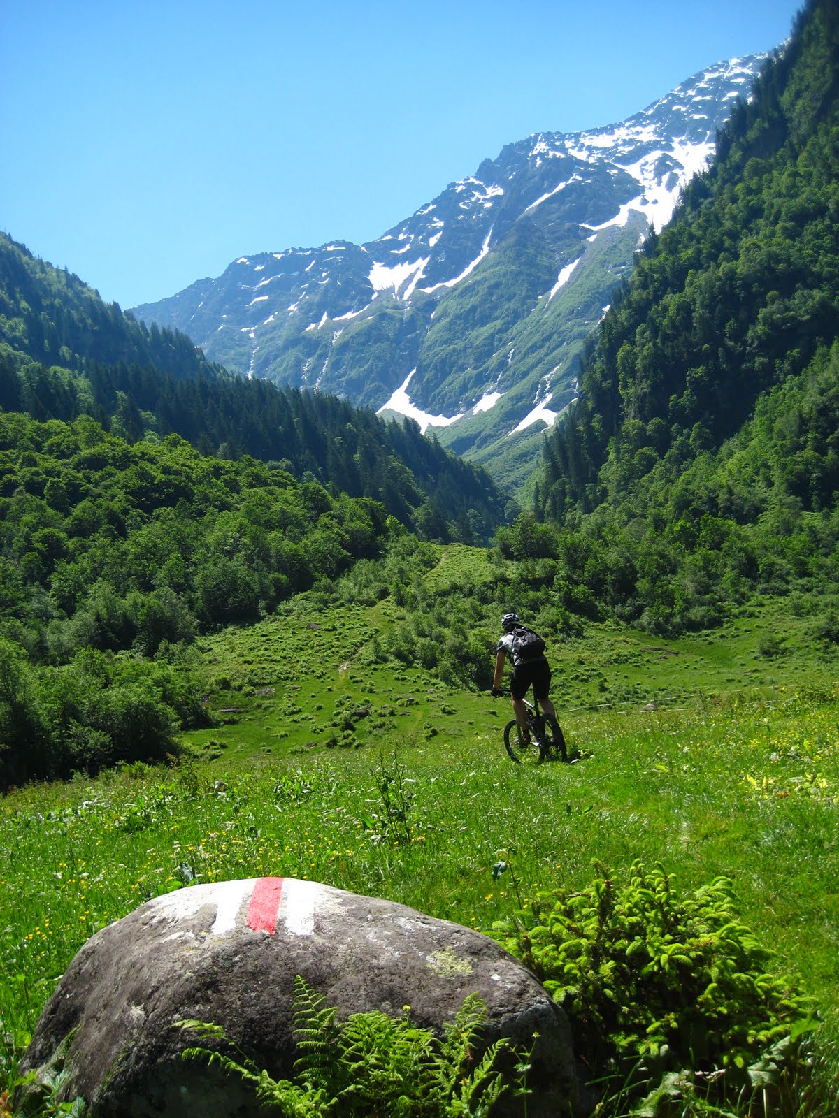 SZ&D: Urbachtal bike tour- June 2010