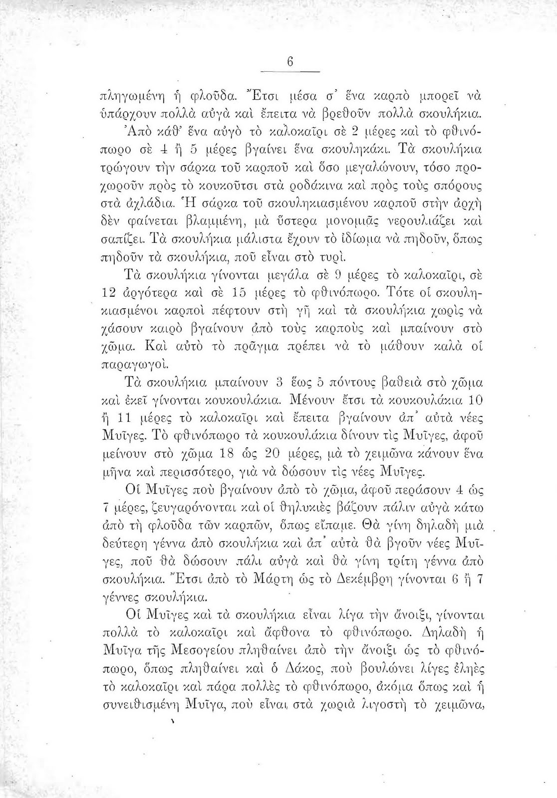 Φτιάχνω μόνος μου: Η μύγα της μεσογείου
