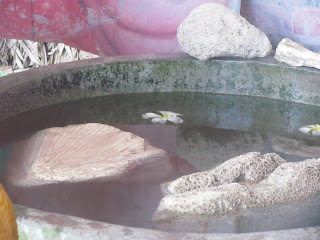 ShaaN: Floating Rock in Rameshwaram