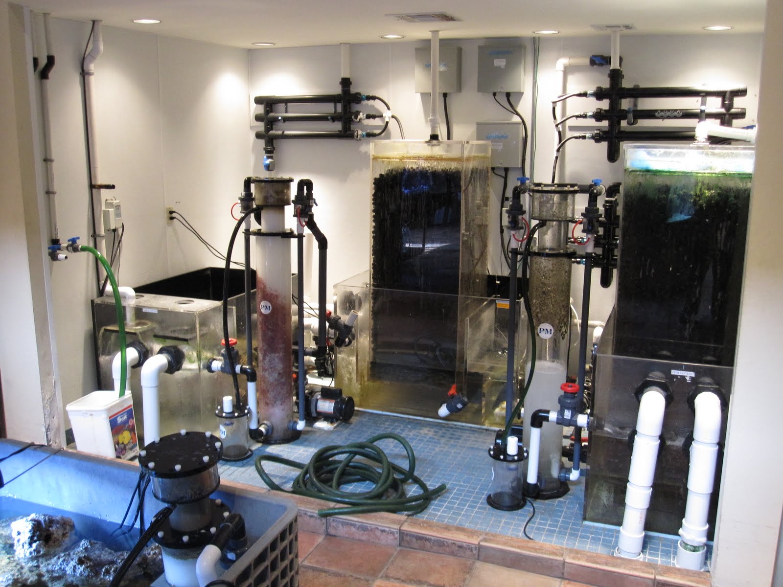 A Reef Geek's Road Trip