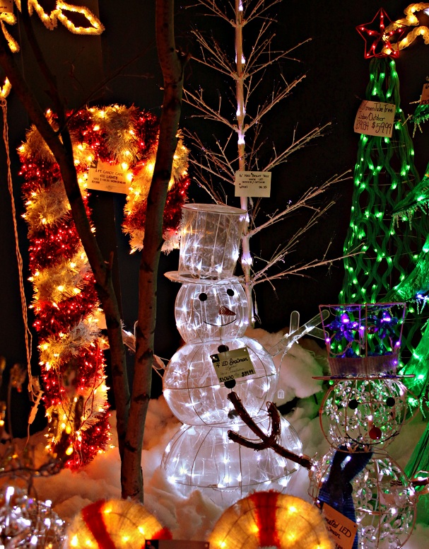OTIS (Odd Things I've Seen): The Christmas Loft