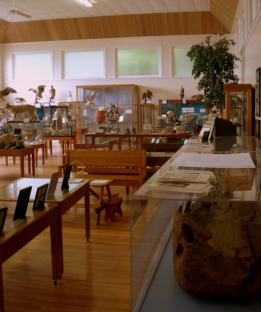 OTIS (Odd Things I've Seen): Libby Museum