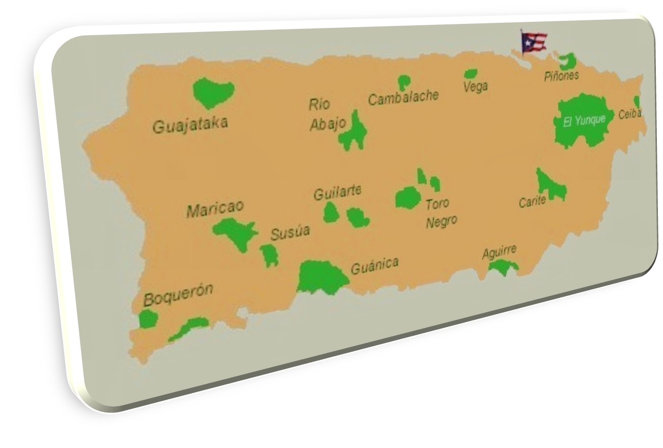 CIBI3002-Grupo1: Bosque Estatal de Guajataca