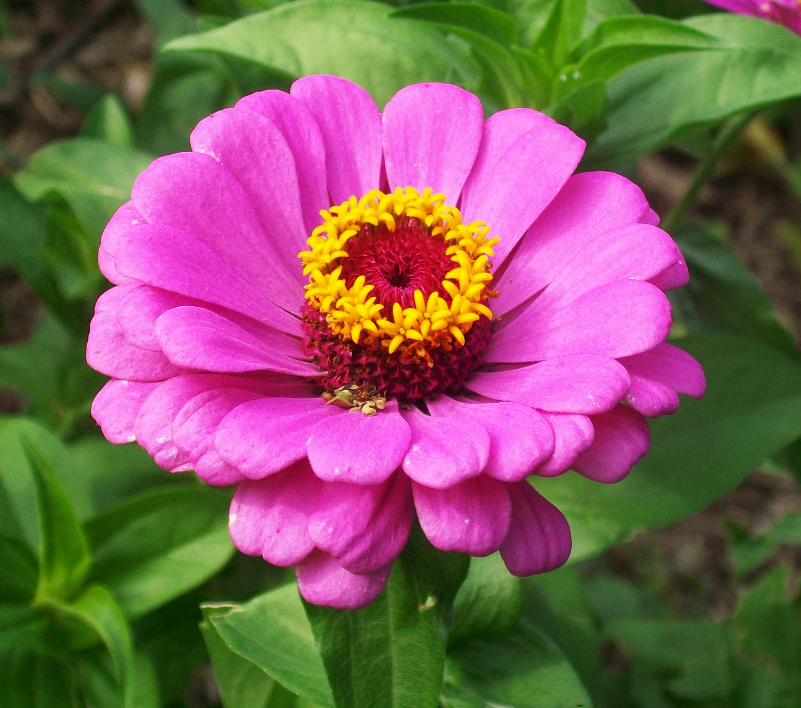 Digital Design Blog: Week 2 Work-Elements of Photography