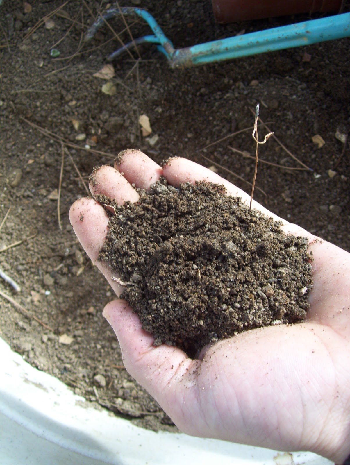 Εμείς και η Κοινωνία μας: Compost - κομποστοποίηση στο σπίτι